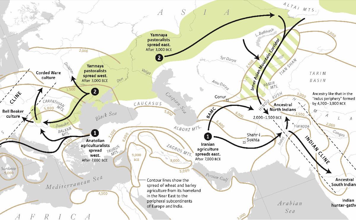 Tired closing comments on the “Aryan” debate – Brown Pundits