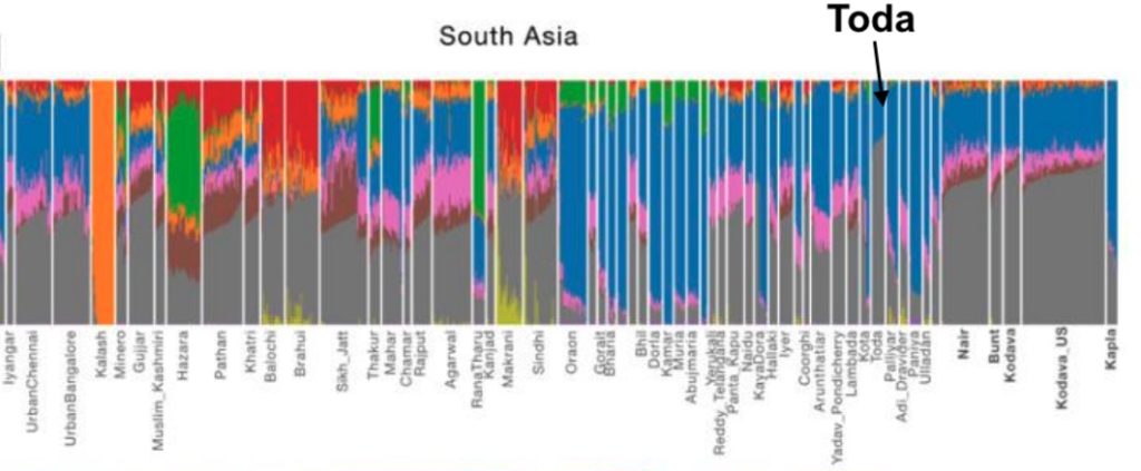 The Toda are different – Brown Pundits